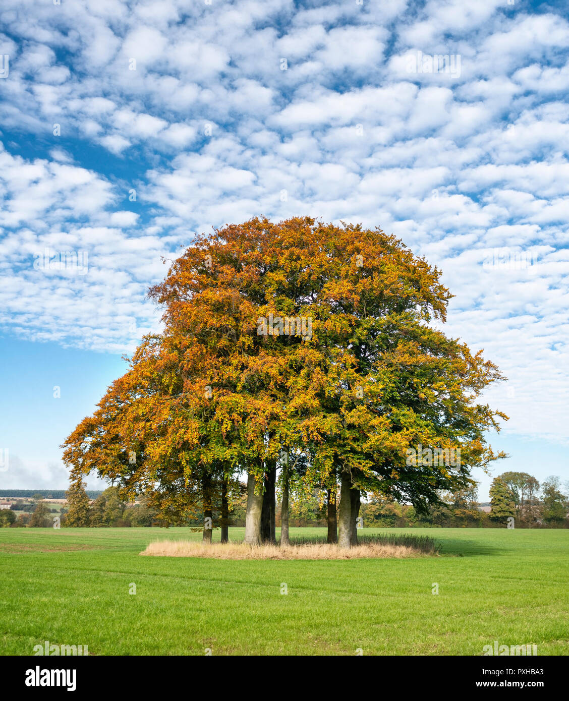 Moor Farm High Resolution Stock Photography and Images - Alamy