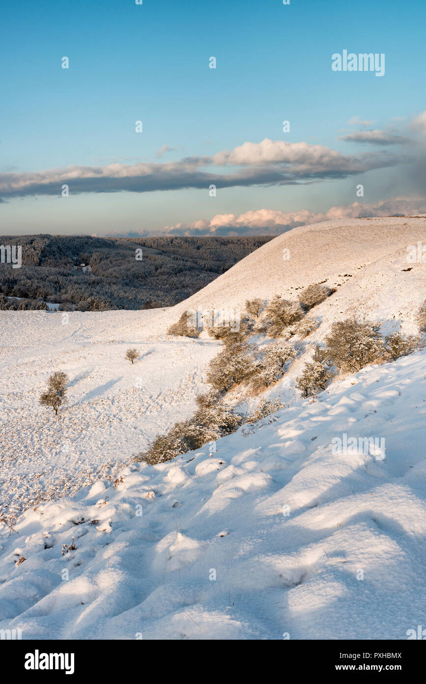Winter in Newton Dale Stock Photo - Alamy
