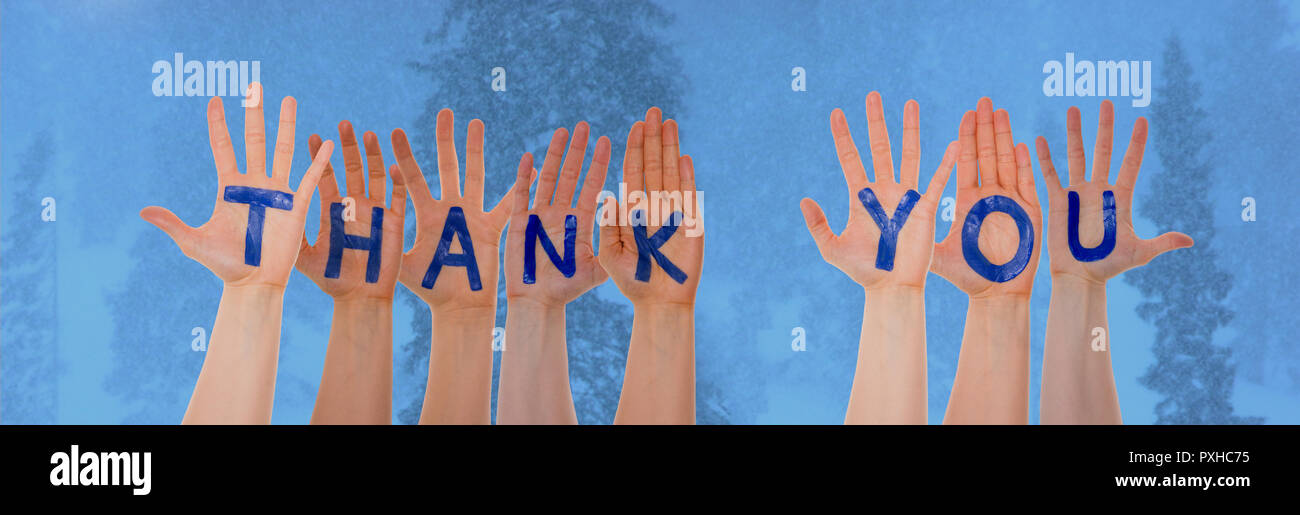 Many Hands Building Word Thank You, Cold Winter Forest Stock Photo - Alamy