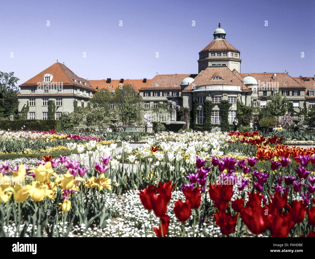 Germany, botanic garden in Munich Stock Photo - Alamy
