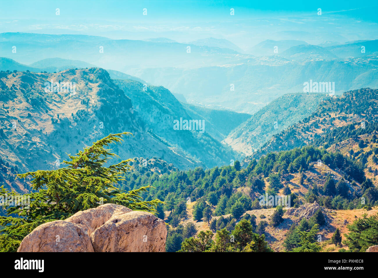 Lebanon mountains with cedar trees forest, Lebanon Stock Photo - Alamy