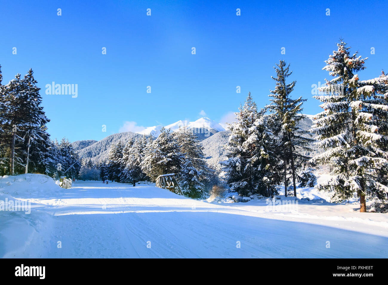 Bansko resort panoramic view with ski slope in the forest and snow ...