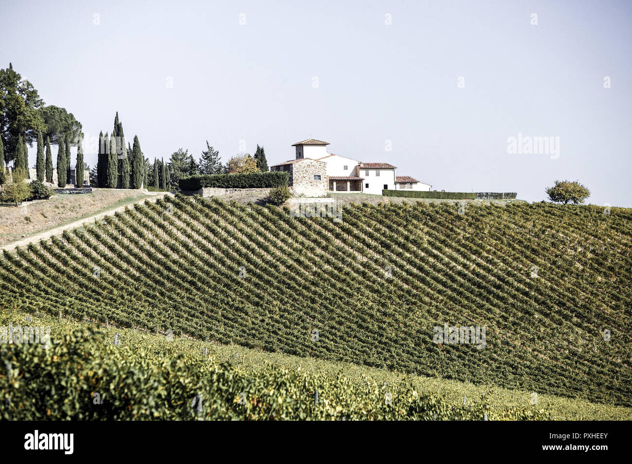 Italy, cottage in Tuscany Stock Photo - Alamy