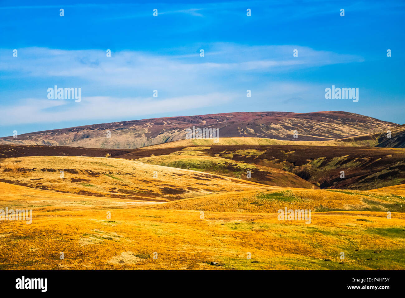 Wedder High Resolution Stock Photography and Images - Alamy