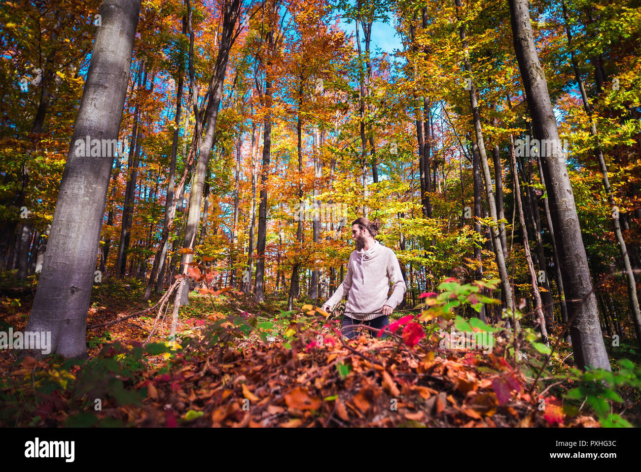 Gathering wood hi-res stock photography and images - Alamy
