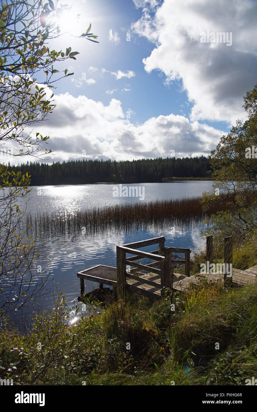 Scenic view on Meenameen lake in Lough Navar Forest in Co. Fermanagh ...