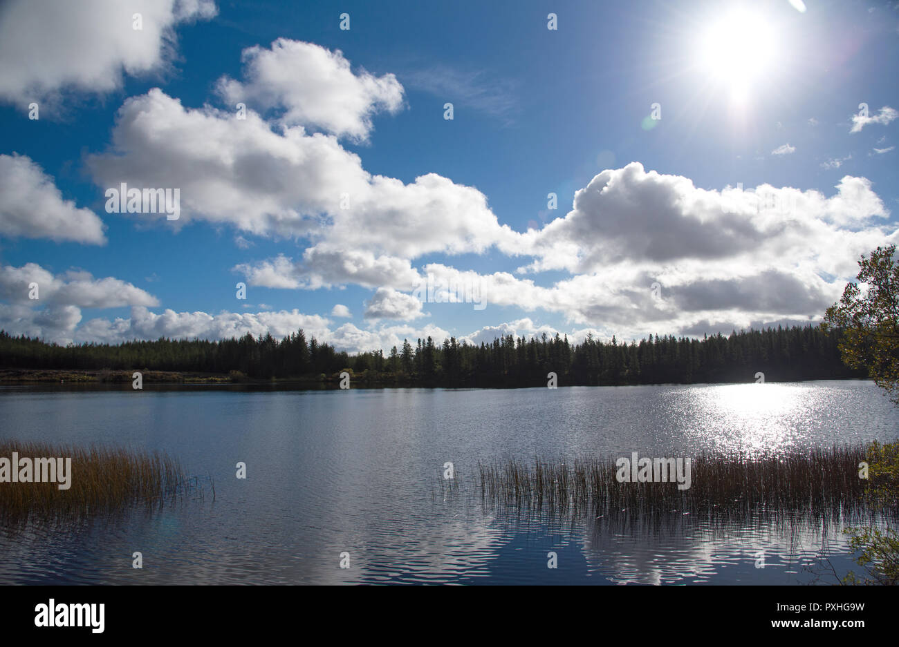 Lough navar forest ireland hi-res stock photography and images - Alamy