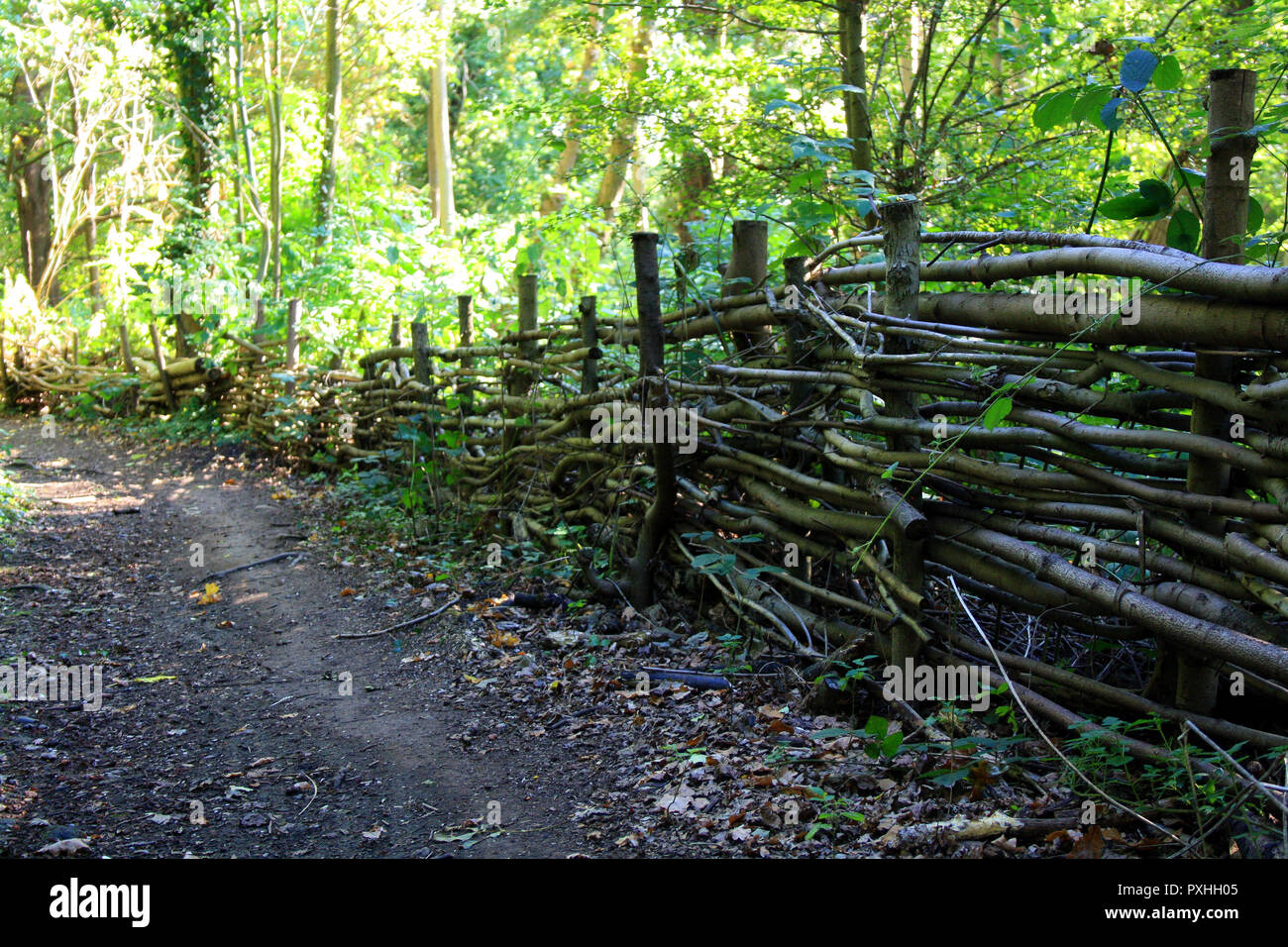 Fence made of branches hi-res stock photography and images - Alamy
