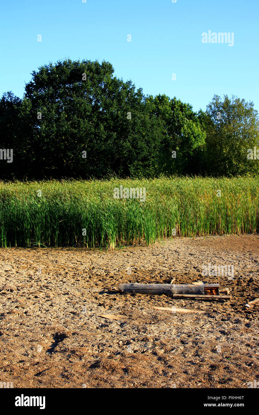 Claybury forest hi-res stock photography and images - Alamy