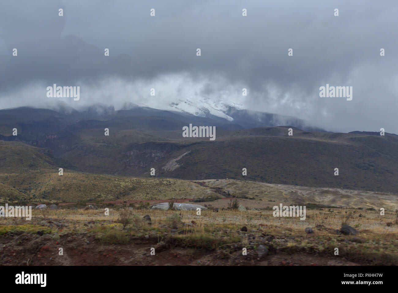 View on the strato vulcano cotopaxi, ecuador Stock Photo - Alamy