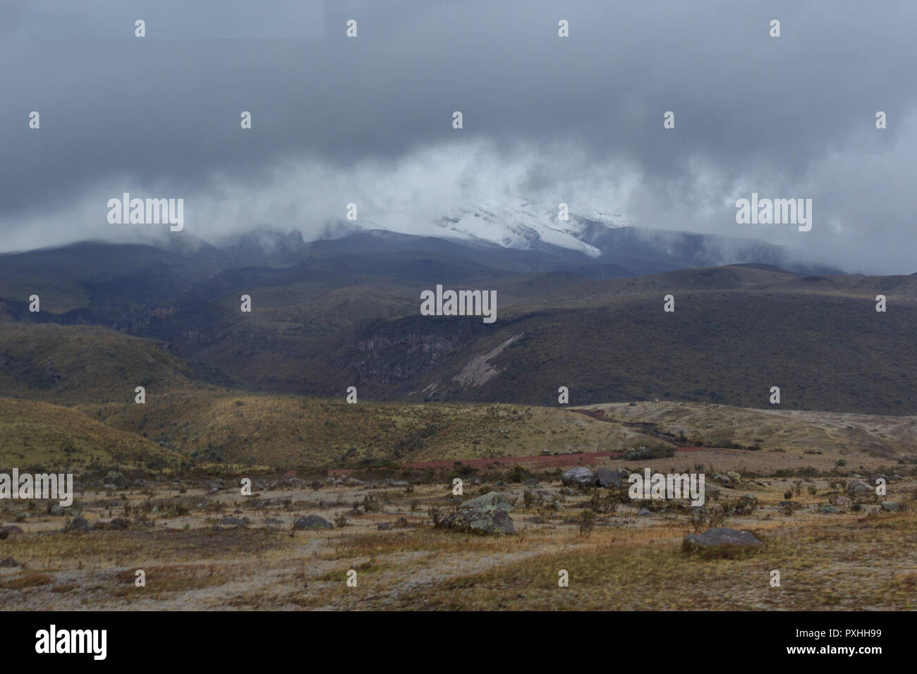 View on the strato vulcano cotopaxi, ecuador Stock Photo - Alamy