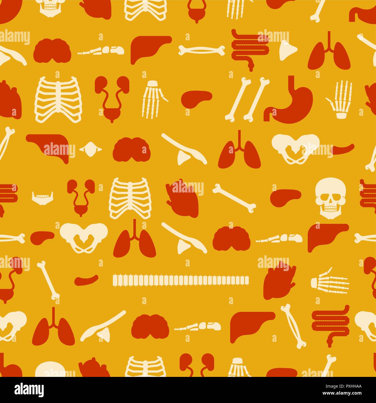 Human anatomy pattern seamless. Skeleton and Internal organs background ...