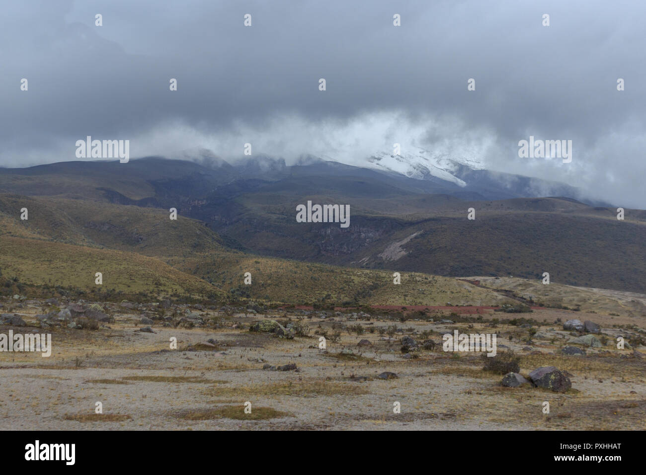 View on the strato vulcano cotopaxi, ecuador Stock Photo - Alamy