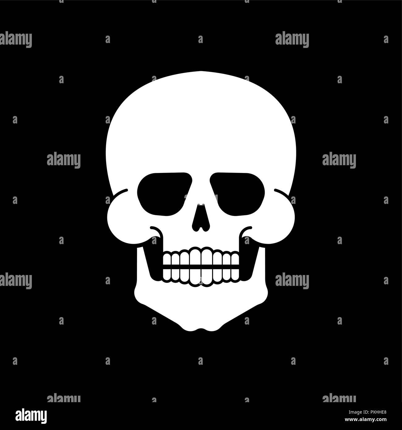 Skull Skeleton anatomy human. Skeletal system cross section. vector ...