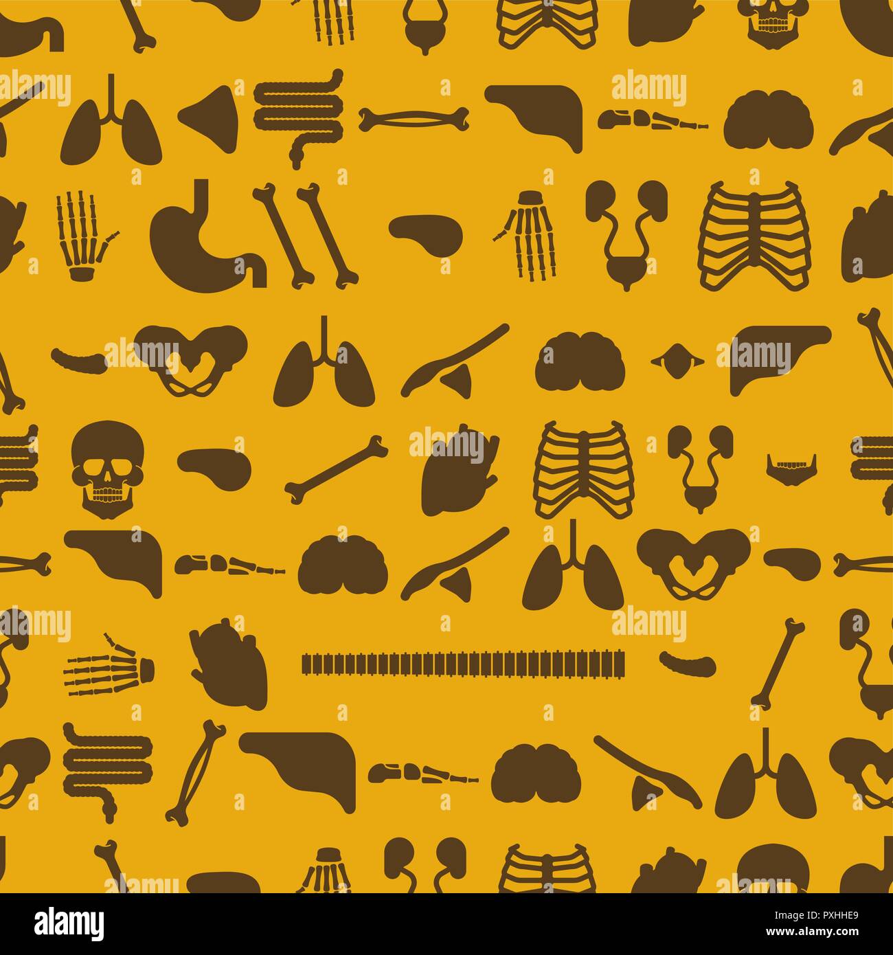 Human anatomy pattern seamless. Skeleton and Internal organs background ...