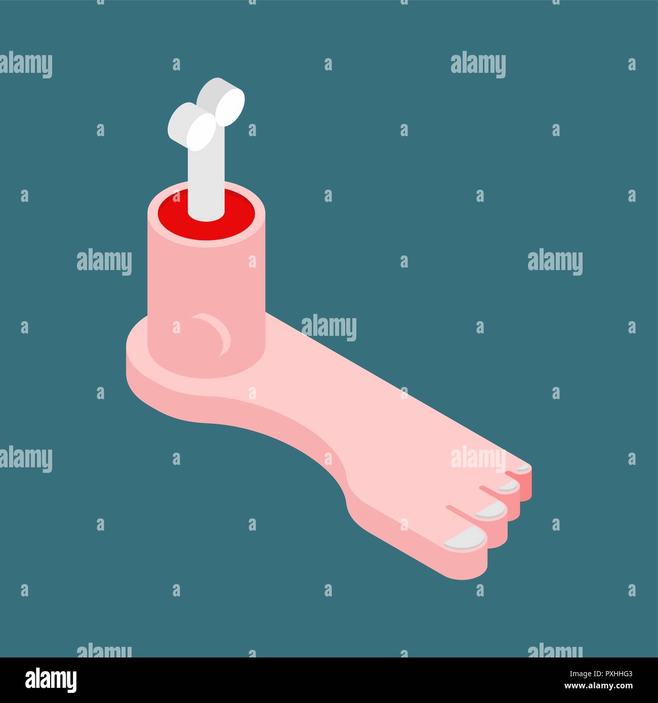 Zombie leg isolated. foot Bone Vector illustration Stock Vector Image ...