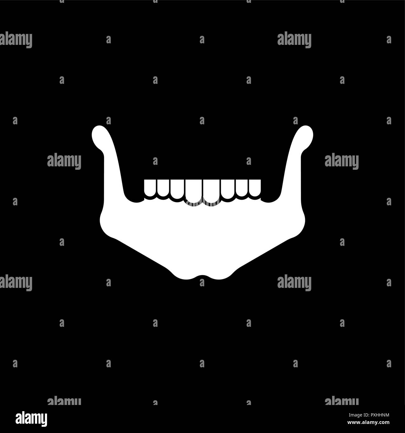 Mandible Lower jaw bone. Skeleton anatomy human. Skeletal system cross ...