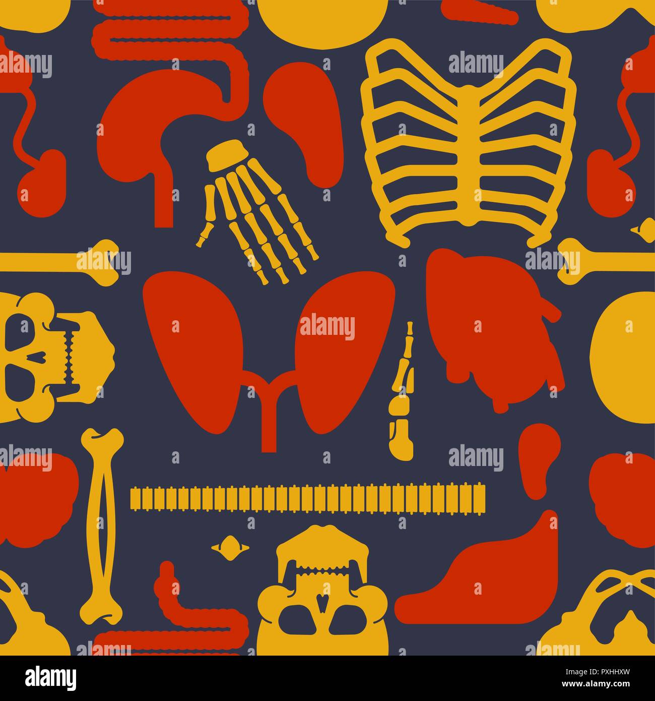 Human anatomy pattern seamless. Skeleton and Internal organs background ...