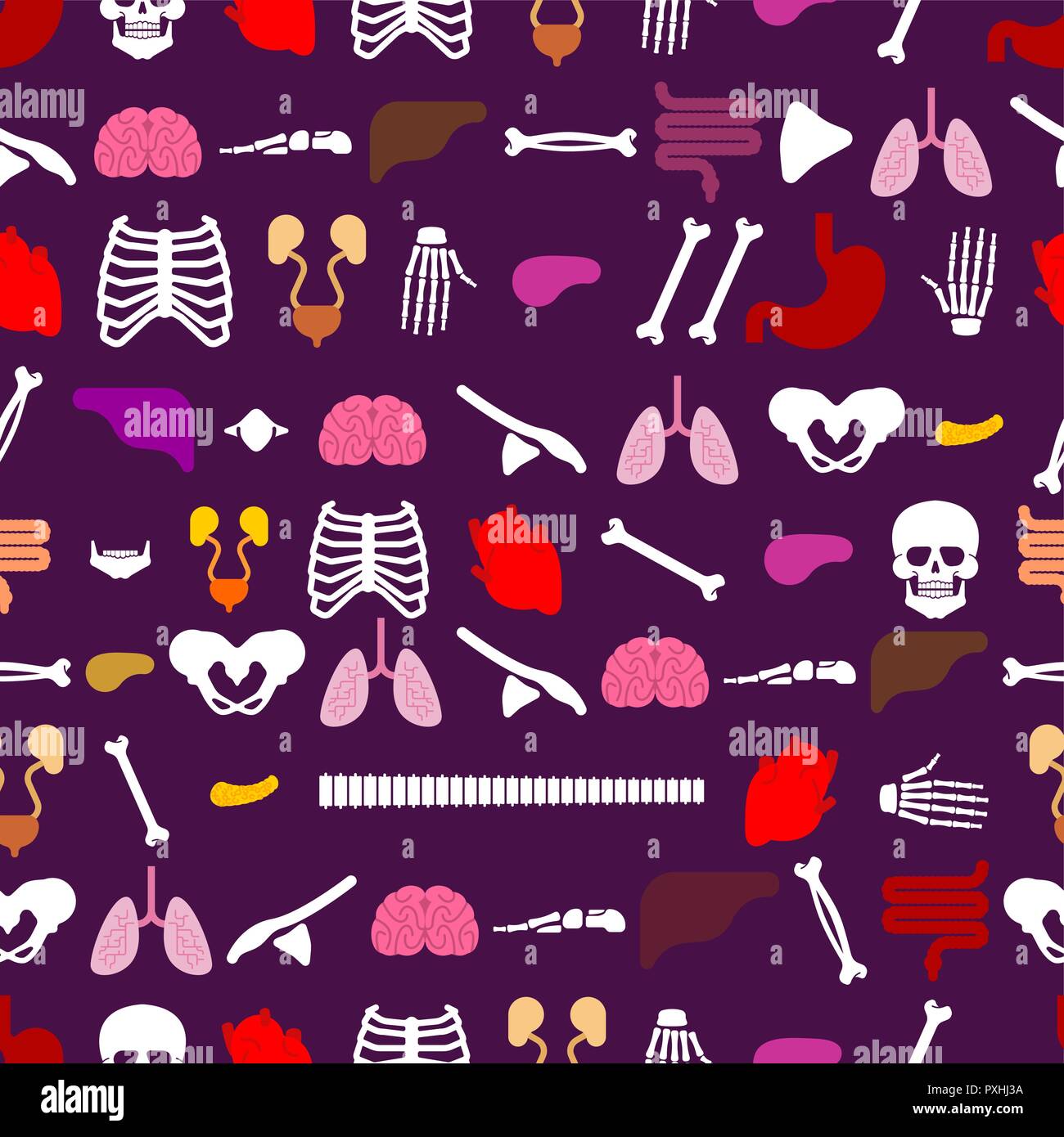 Human anatomy pattern seamless. Skeleton and Internal organs background ...