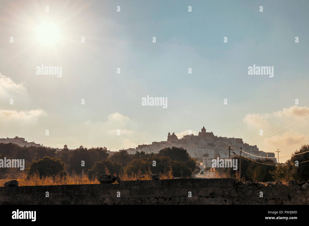 Ostuni fig tree hi-res stock photography and images - Alamy