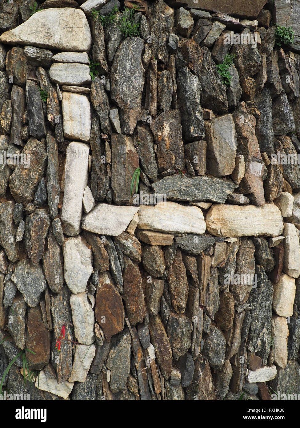 Llama stone sculpture in the Inca ruins of Choquequirao, Peru Stock ...