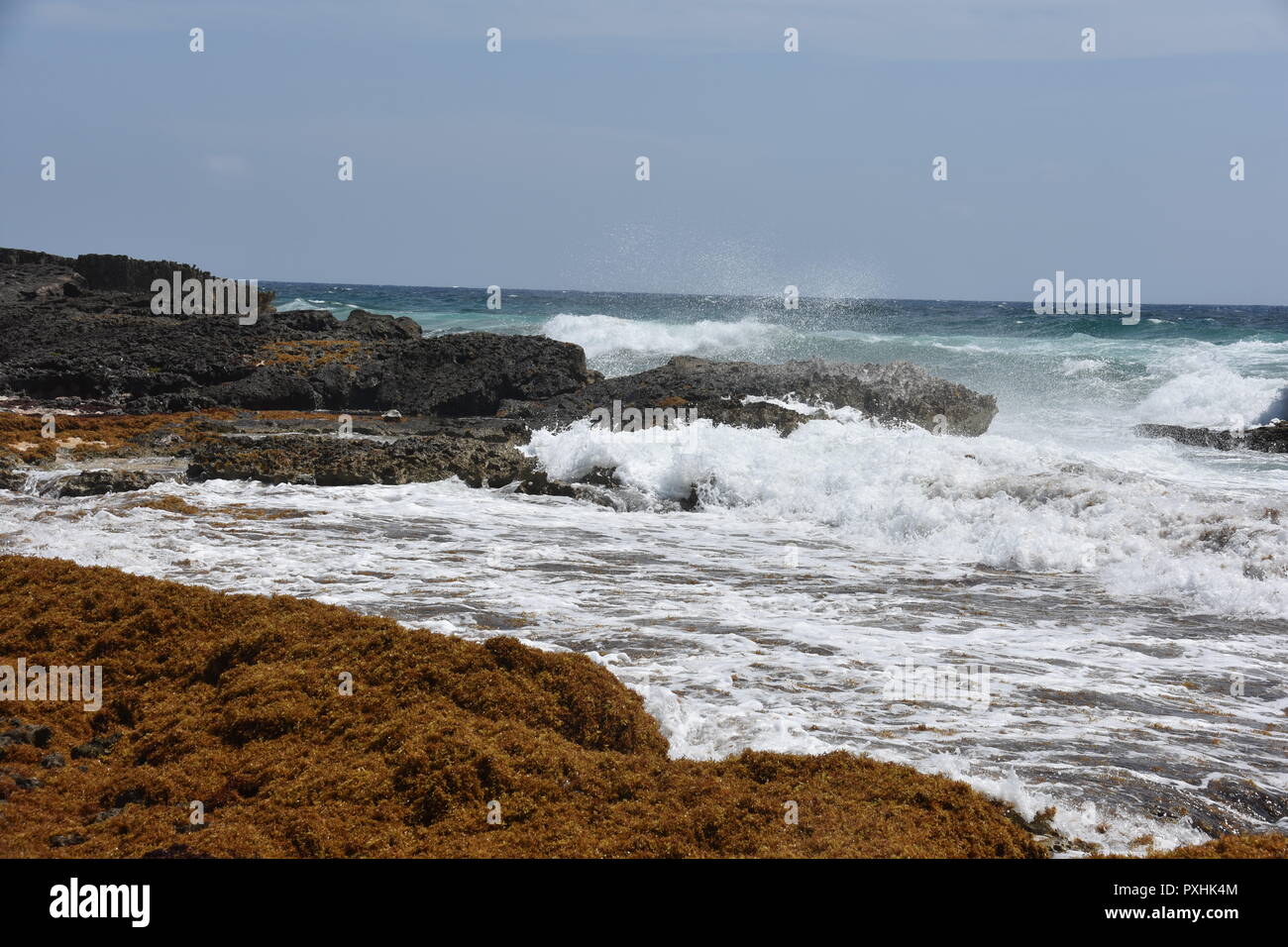Waves on the Beach of Cozumel Island Mexico Stock Photo - Alamy