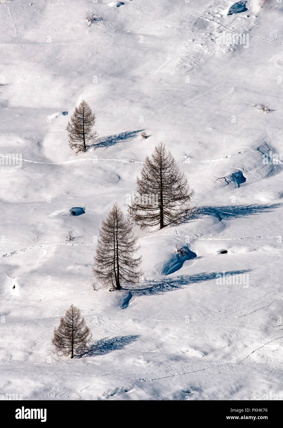 Few trees on slopes hi-res stock photography and images - Alamy