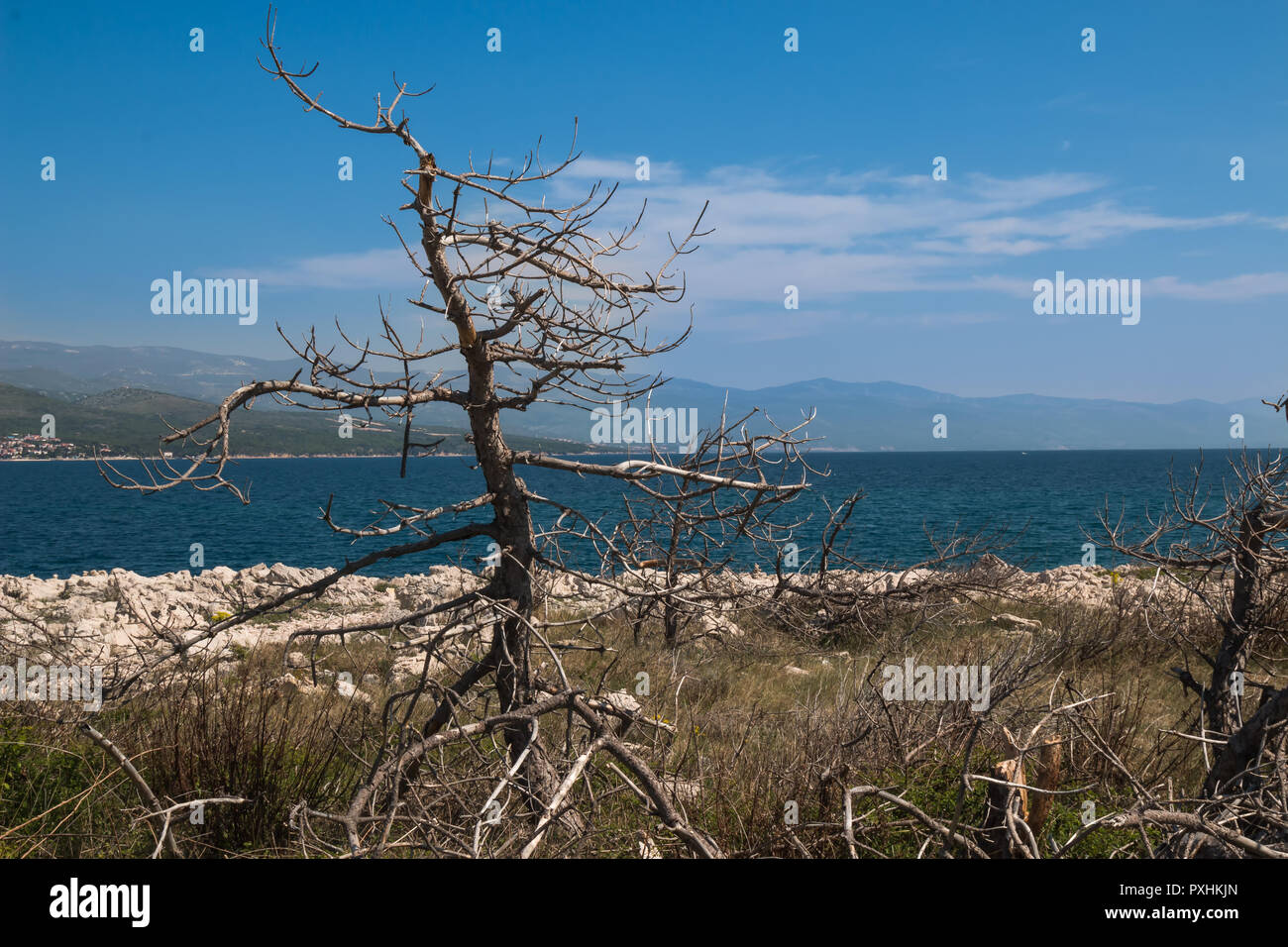 Tree Silo High Resolution Stock Photography and Images - Alamy