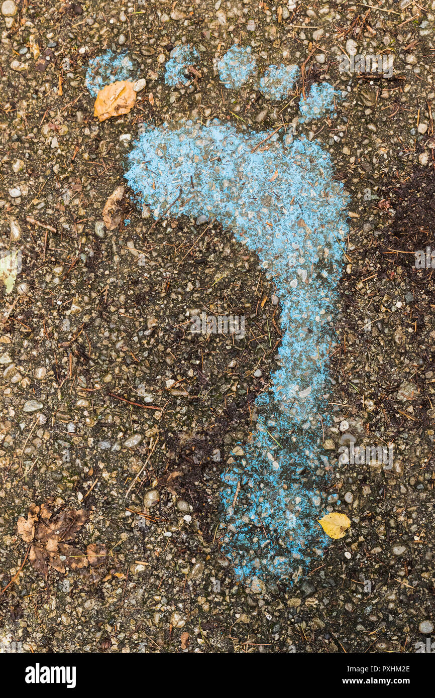 A Blue footprint signs on the floor in the forest for pedestrian ...