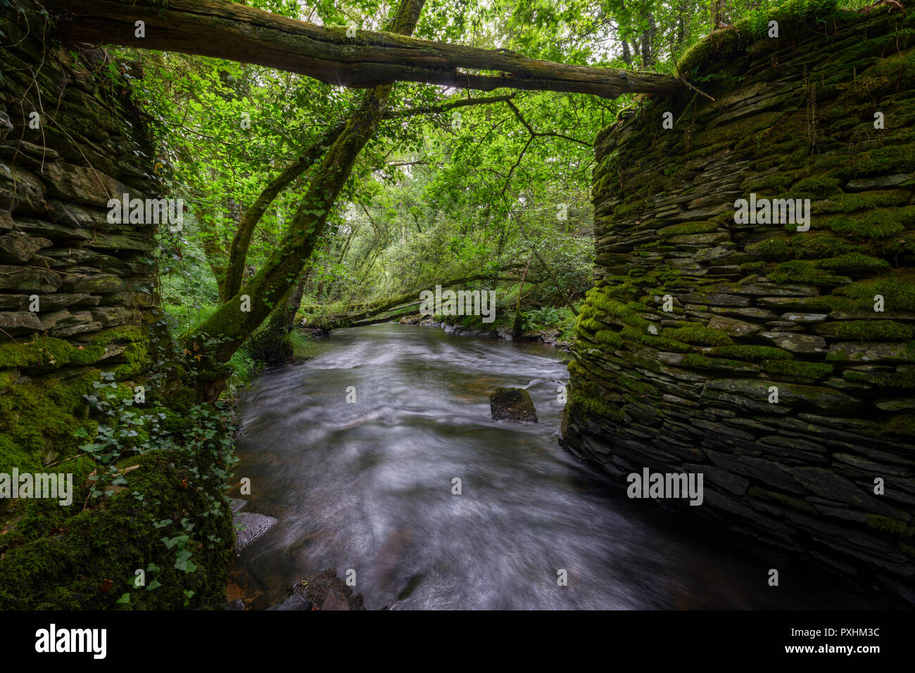 Semi-ruined remains of a secular bridge in O Corgo, Galicia, Galicia ...