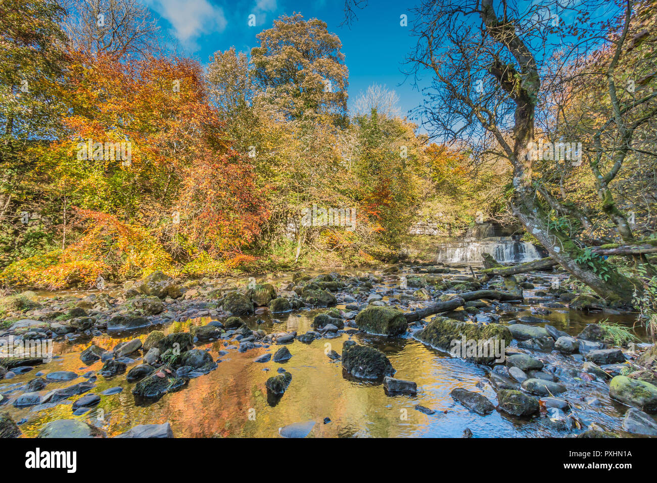 National park autumn colours yorkshire dales hi-res stock photography ...