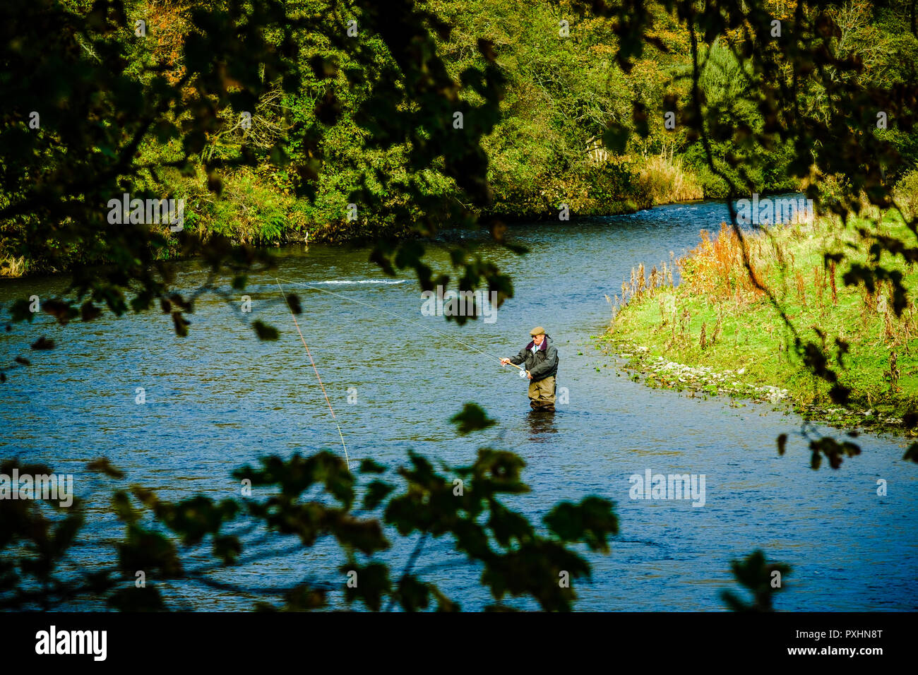 Salmon fishing on river tweed hi-res stock photography and images - Alamy