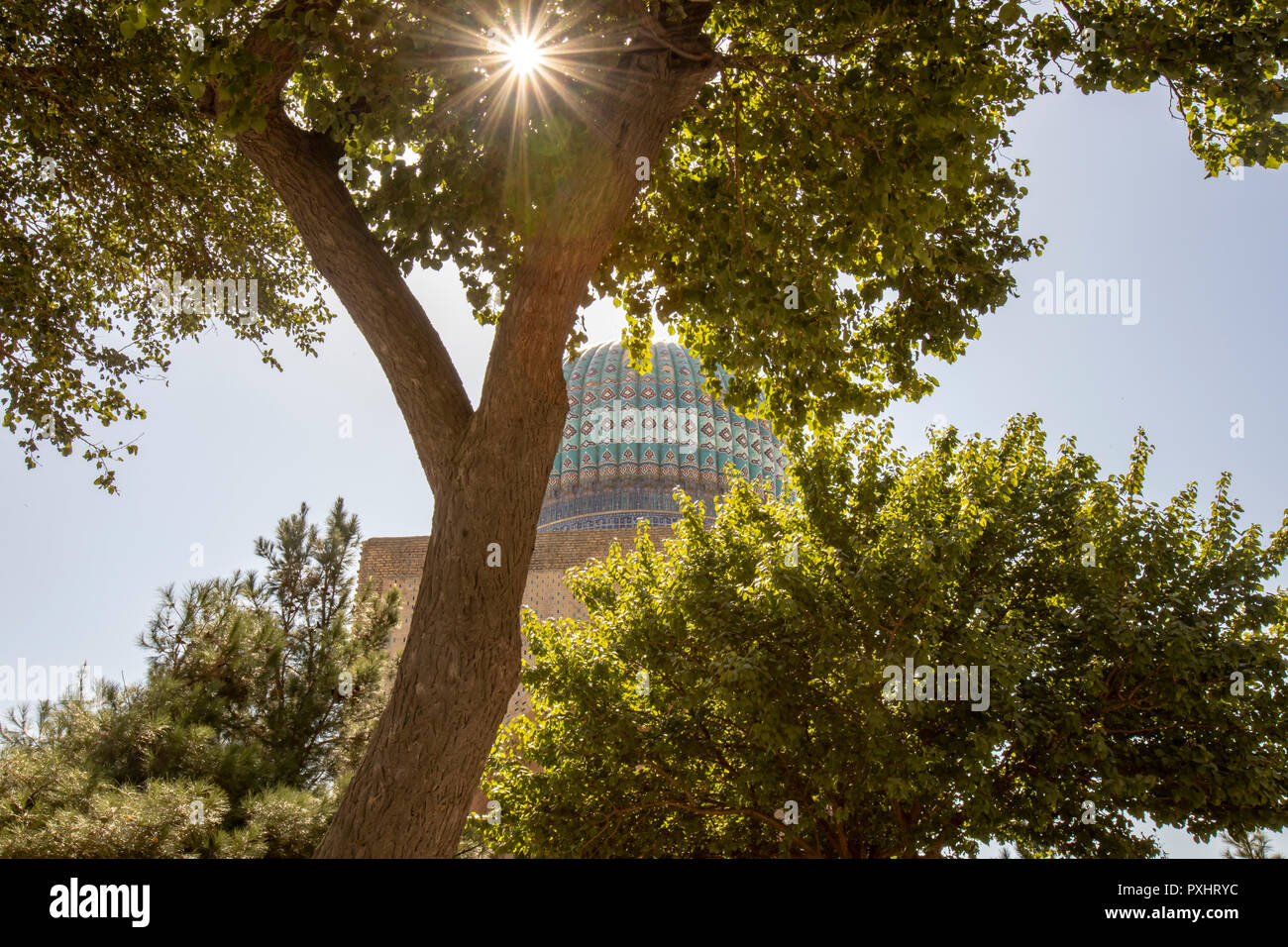 Sun flare through branches of tree over blue dome mosque in Samarkand ...