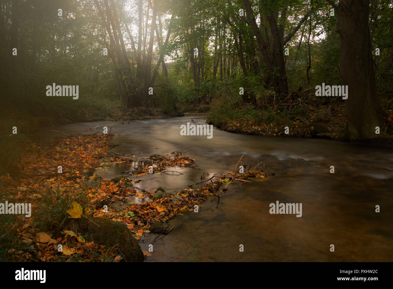 Mystical river view in the morning Stock Photo - Alamy
