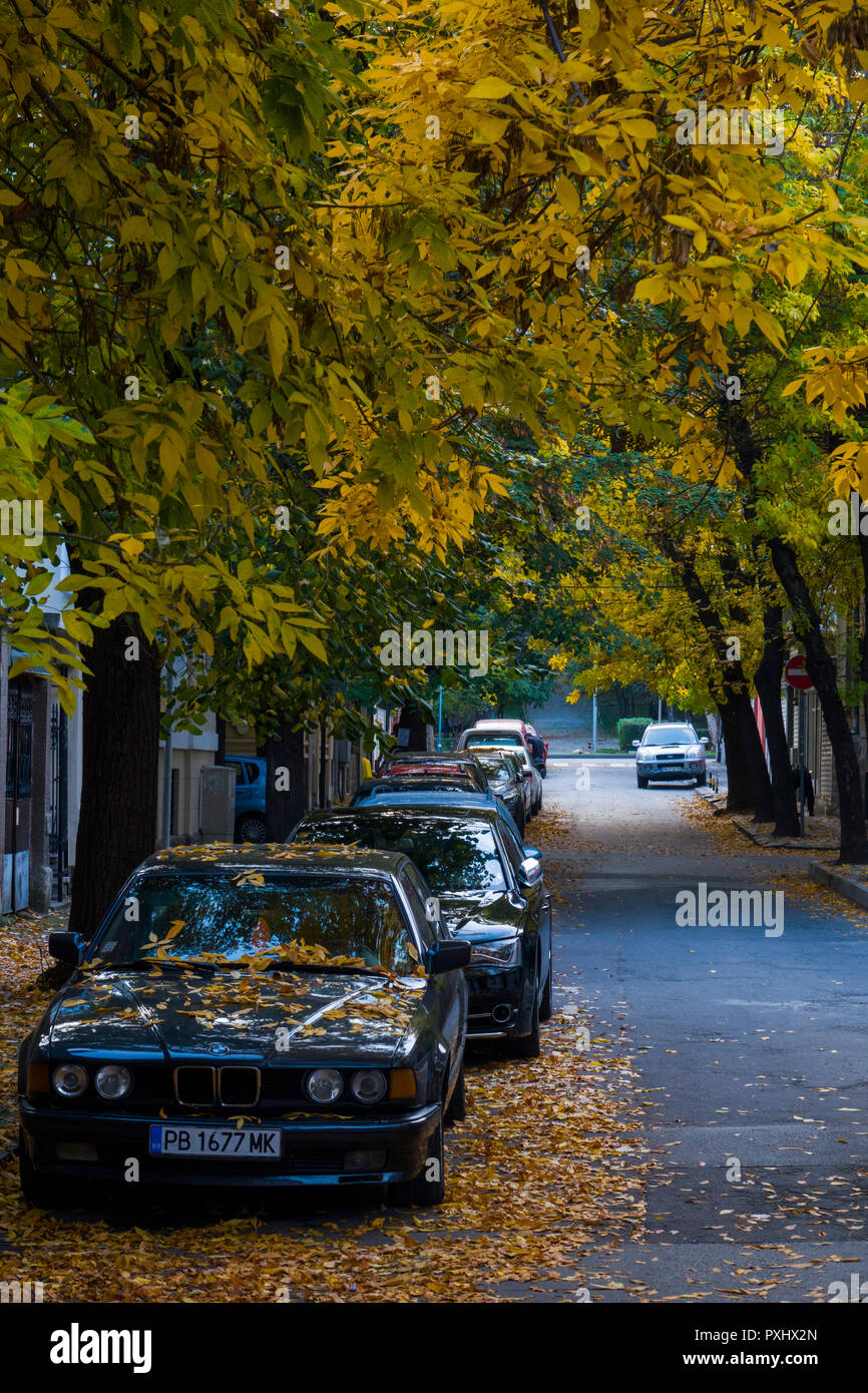 Autumn leaves falling in tree lined streets of Plovdiv, Bulgaria Stock ...