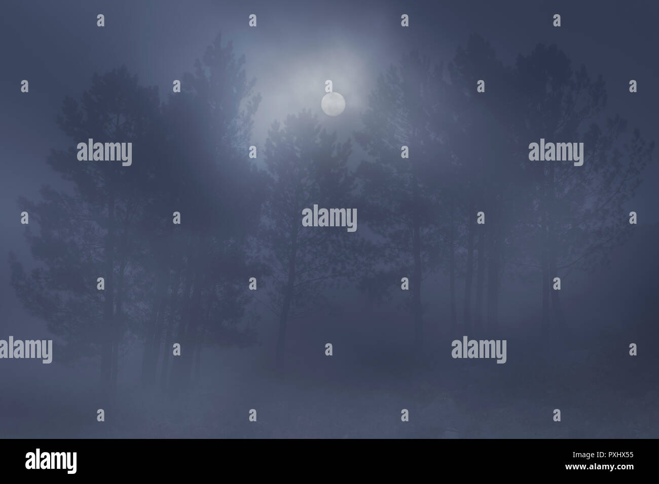 Foggy mountain woods in a full moon night Stock Photo - Alamy