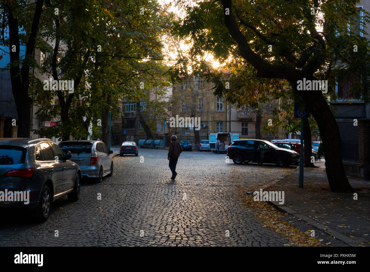 Autumn leaves falling in tree lined streets of Plovdiv, Bulgaria Stock ...