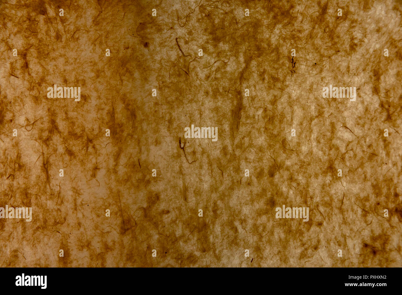 Translucent paper hi-res stock photography and images - Alamy