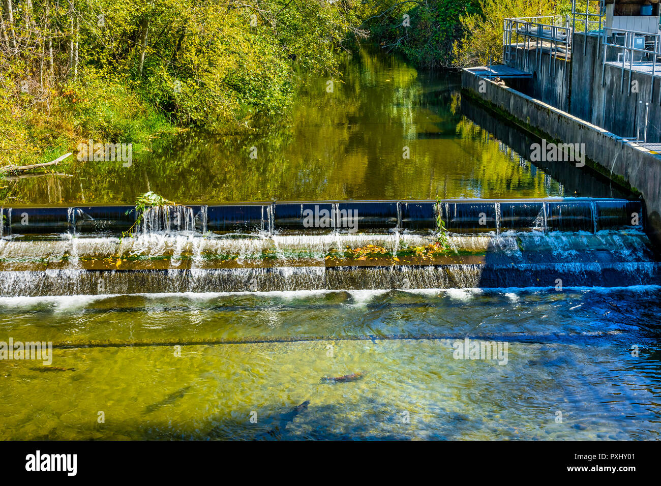 Culvert salmon hi-res stock photography and images - Alamy