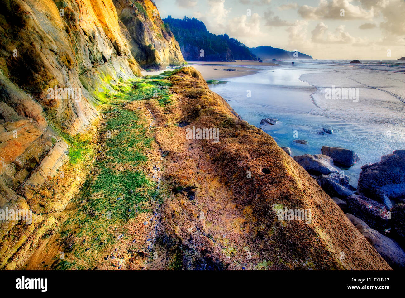 Path/road/trail at Hug Point State Park, Oregon Stock Photo - Alamy