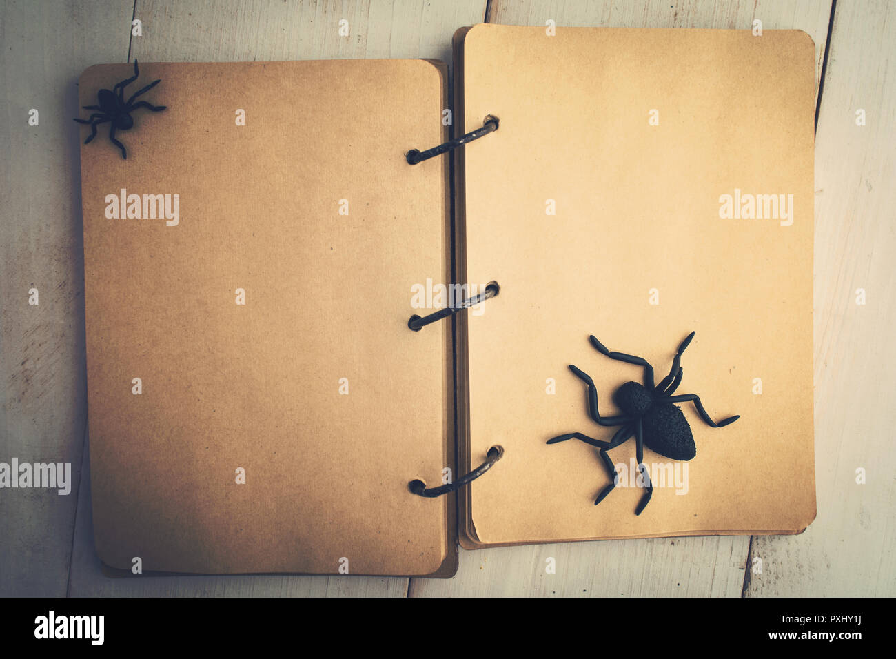 Open notebook with spiders over white wooden table with copy space for ...