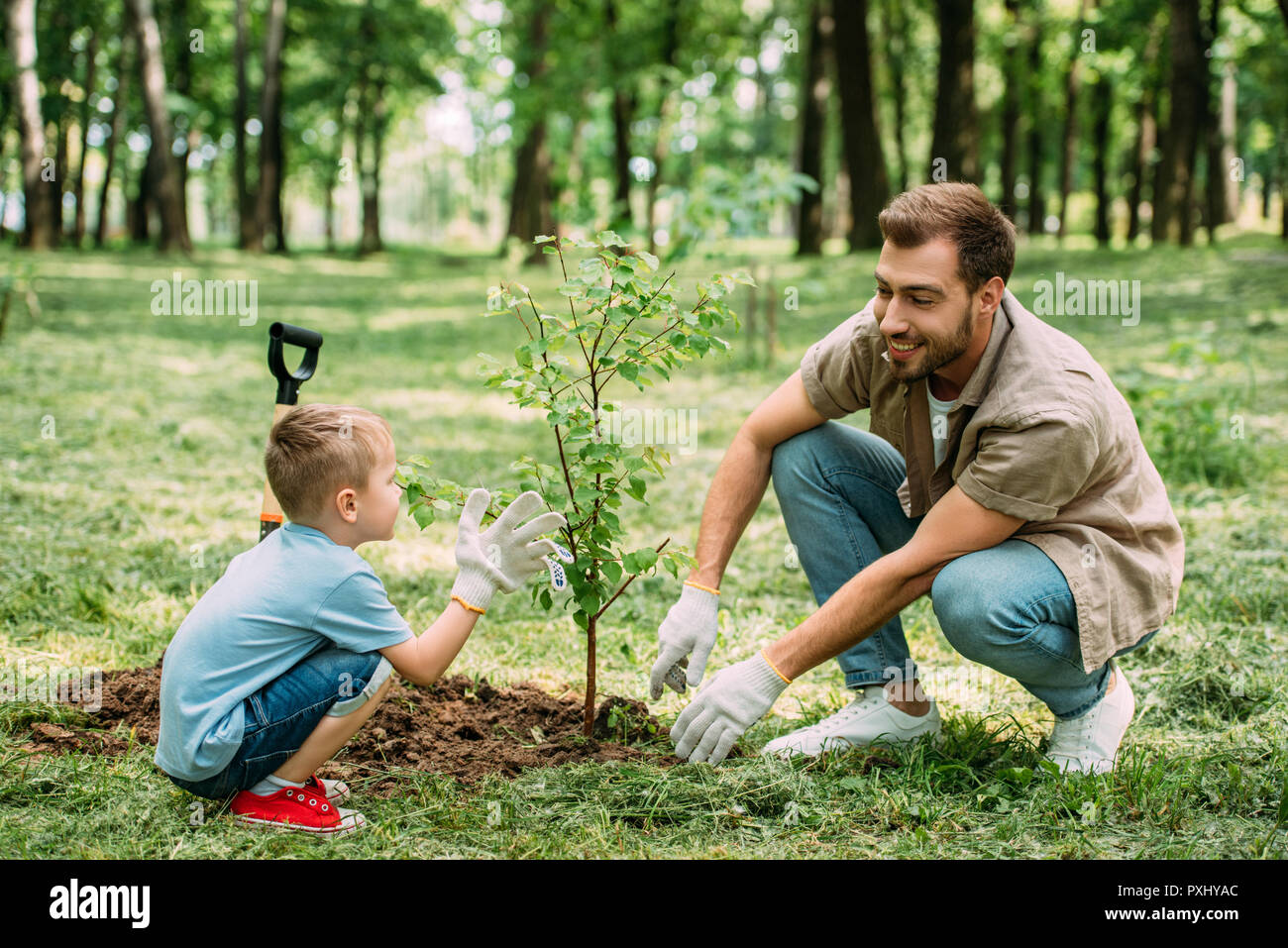 happy father and son planting tree at park Stock Photo - Alamy