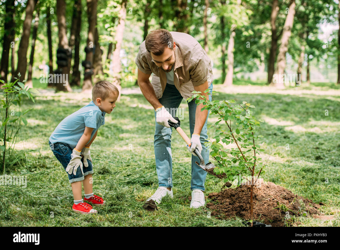Father son planting tree hi-res stock photography and images - Alamy