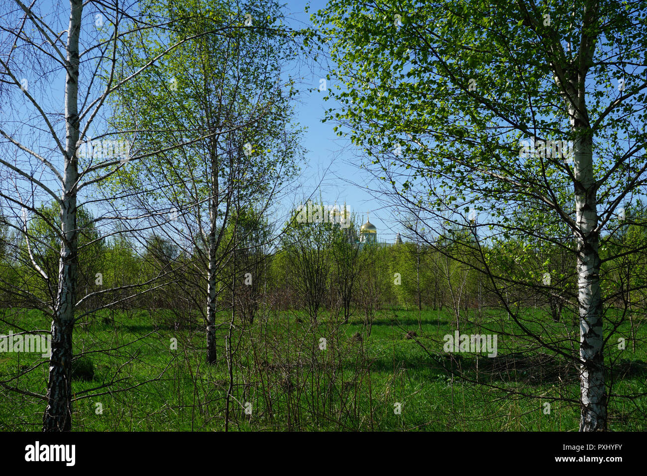 Far away trees hi-res stock photography and images - Alamy