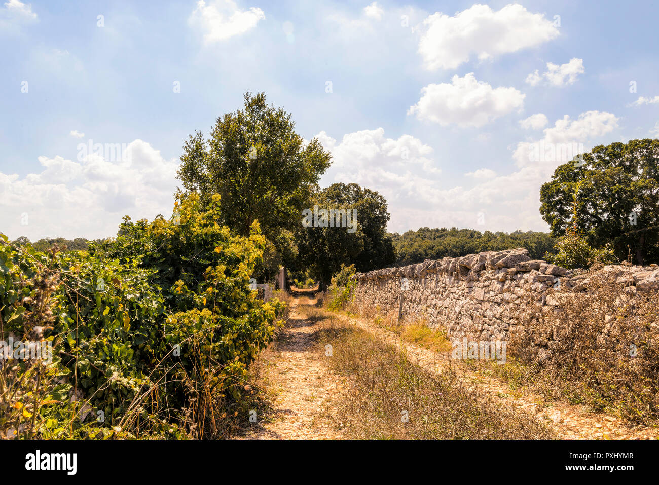 Countryside in Valle d’Itria near Cisternino, Locorotondo and Martina ...
