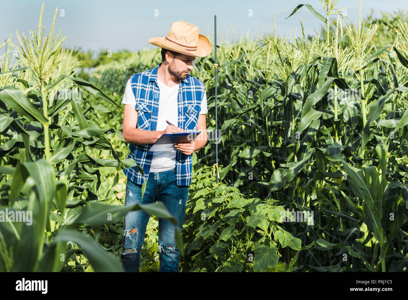 Handsome farmer hi-res stock photography and images - Alamy
