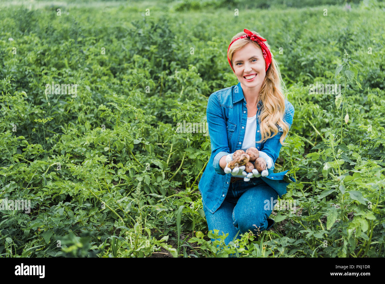 Attractive and ecological farming hi-res stock photography and images ...