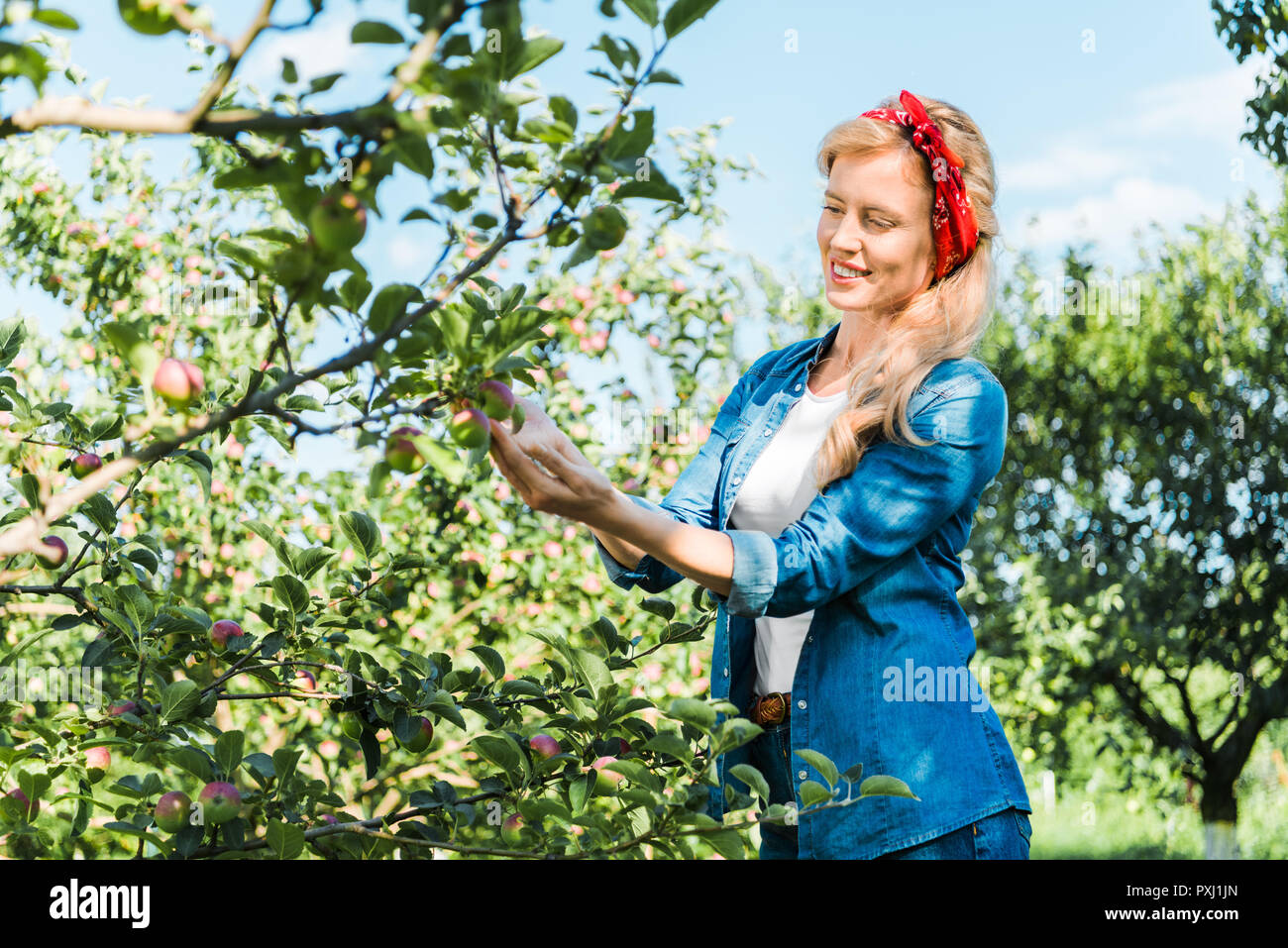 Farmer touching hi-res stock photography and images - Alamy