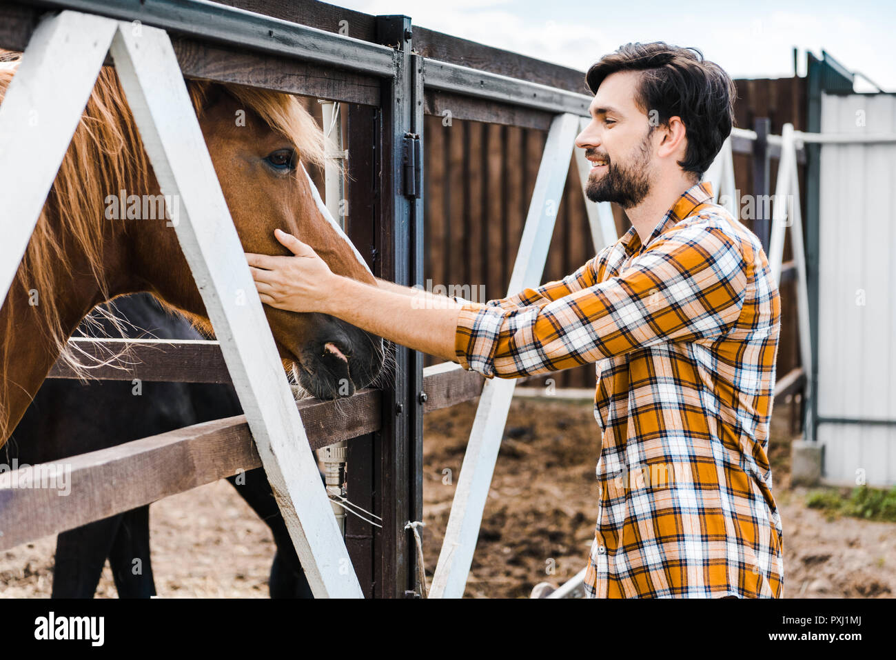 side view of handsome smiling farmer palming brown horse in stable ...