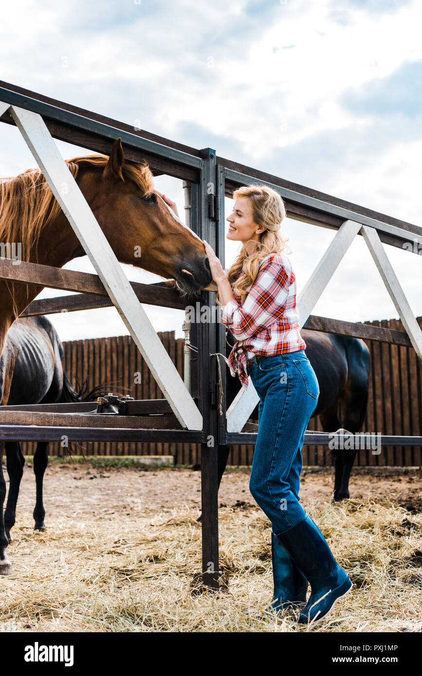 side view of attractive smiling farmer palming horse in stable Stock ...
